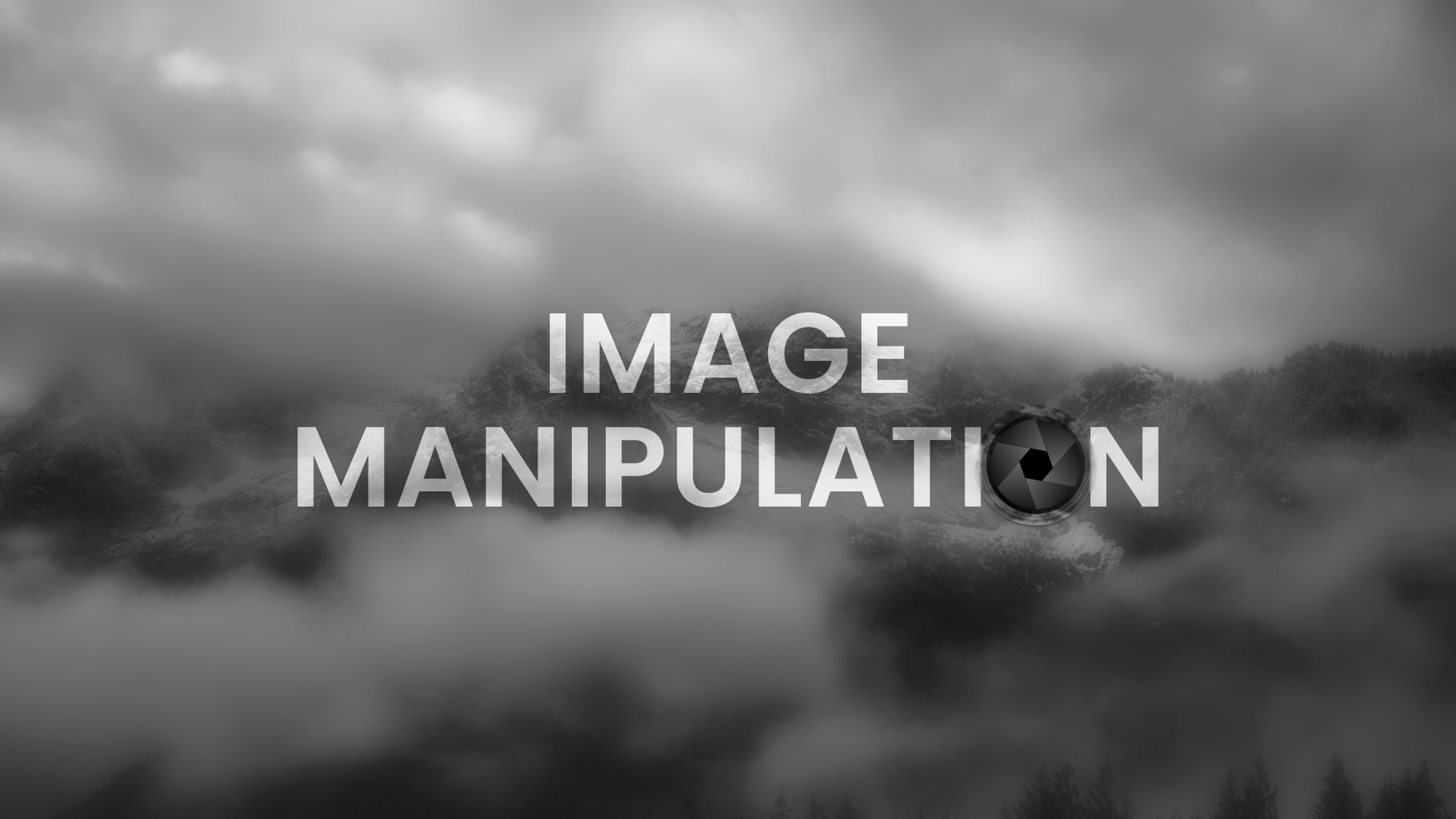 Image Manipulation | Directus TV