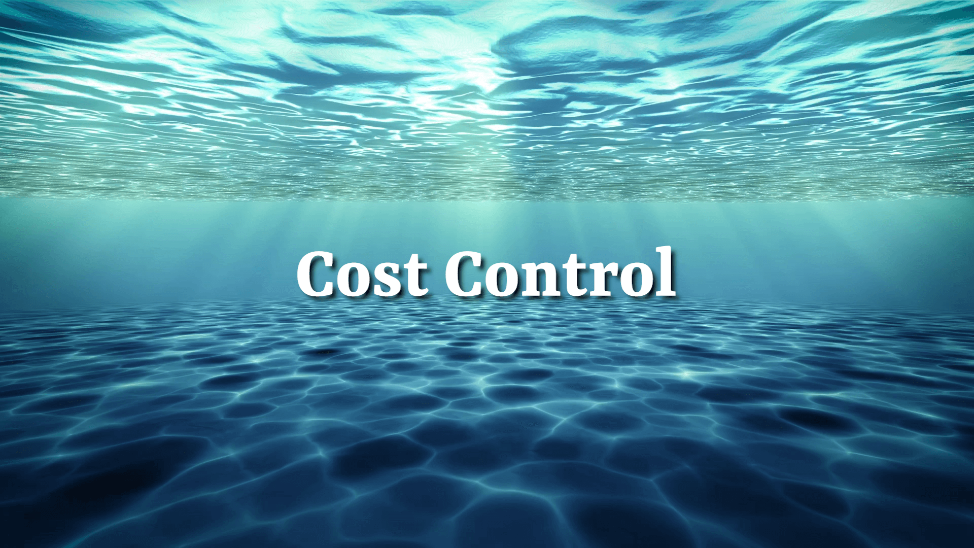 Cost Control | Directus TV